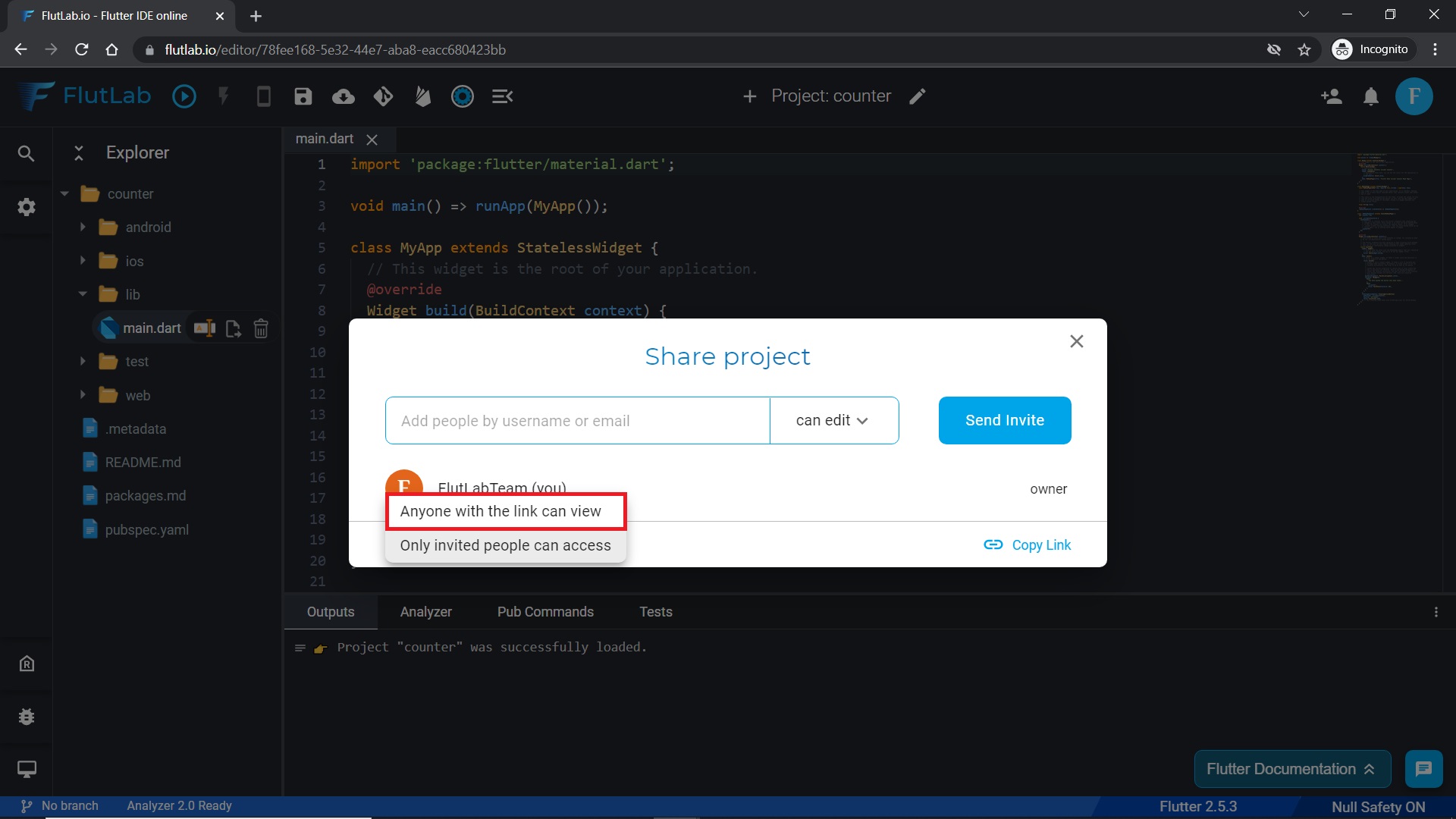 How To Use Collaboration In FlutLab with The copy Shareable Link